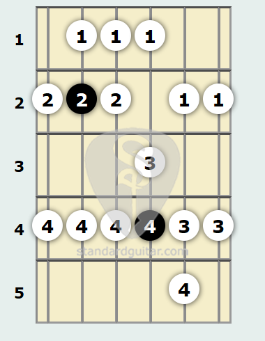 B Ionian Scale | Standard Guitar