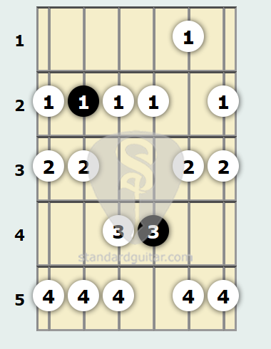 B Phrygian Scale | Standard Guitar