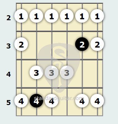 D Major Scale | Standard Guitar